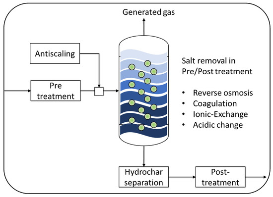 Biomass Hydrochar: A Critical Review of Process Chemistry, Synthesis Methodology, and Applications