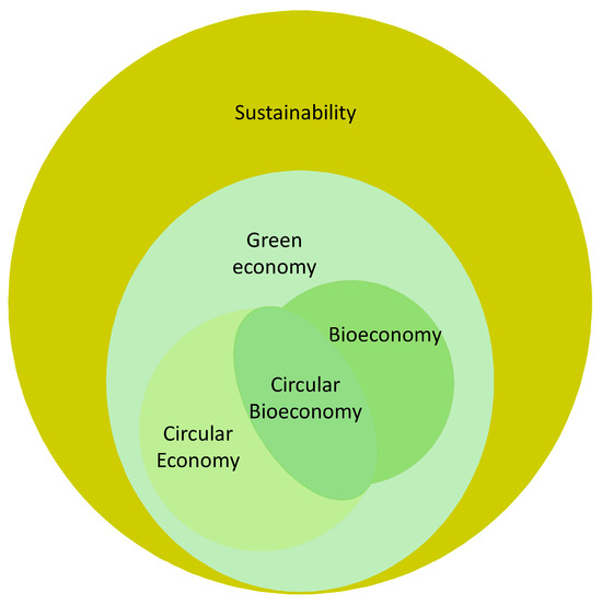 Driving Sustainability: Circular Bioeconomy and Governance in Andalusia (Southern Spain)