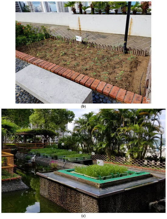 Urban Political Ecology in Action: Community-Based Planning for ...