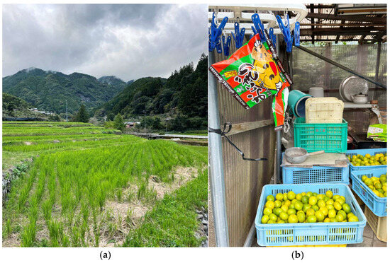 Zero Waste for All? Sustainable Practices in a Small-Scale Zero Waste ...