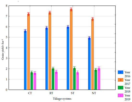 The Effect of Sustainable Tillage Systems on Faba Bean Yield in a Long-Term Experiment in Poland