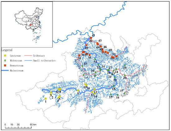 Study on Fish Diversity and Drivers Based on Environmental DNA in ...