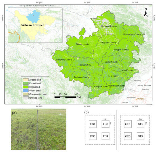 Grazing Exclusion Affects Alpine Meadow Plants’ Root Morphological ...