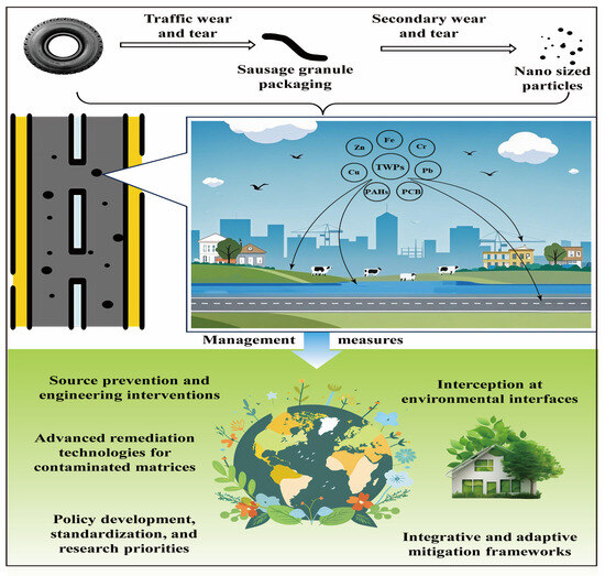 Tyre Wear Particles in the Environment: Sources, Toxicity, and ...