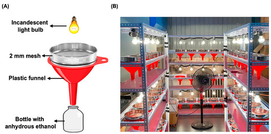 Assessing Two Decades of Organic Farming: Effects on Soil Heavy Metal ...