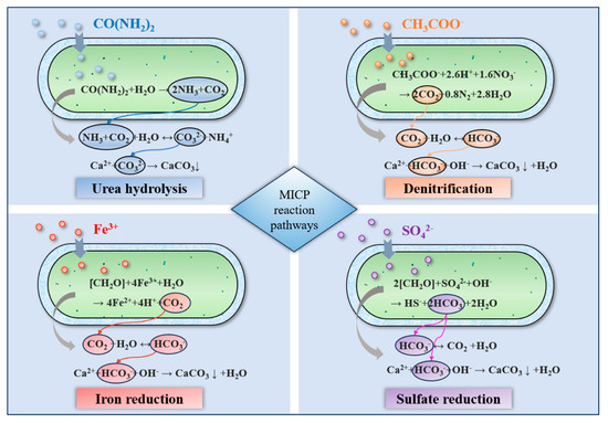 Research and Application of Green Technology Based on Microbially ...