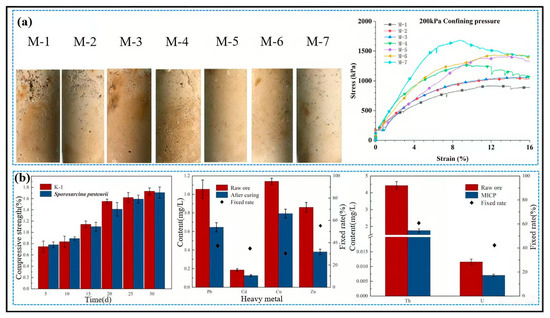 Research and Application of Green Technology Based on Microbially ...