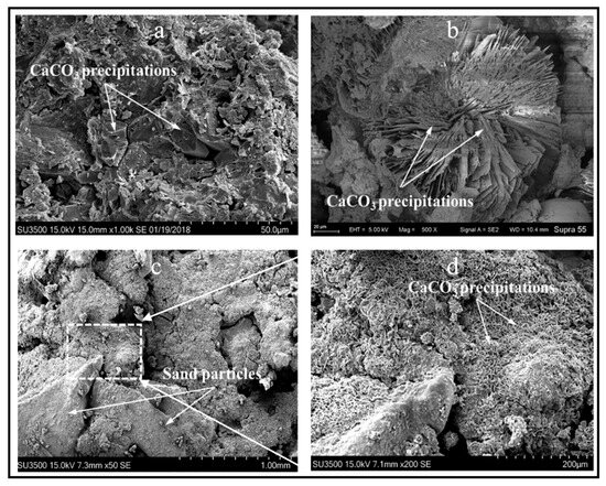 Research and Application of Green Technology Based on Microbially ...