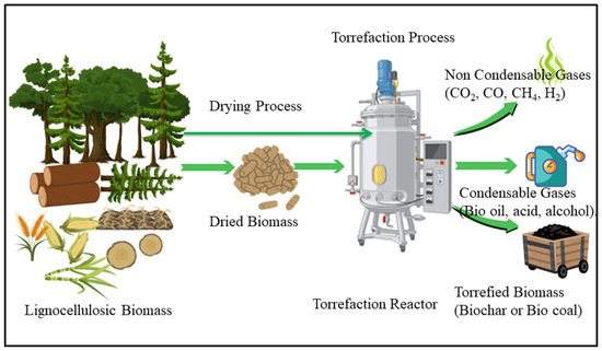 Torrefaction of Lignocellulosic Biomass: A Pathway to Renewable Energy, Circular Economy, and ...