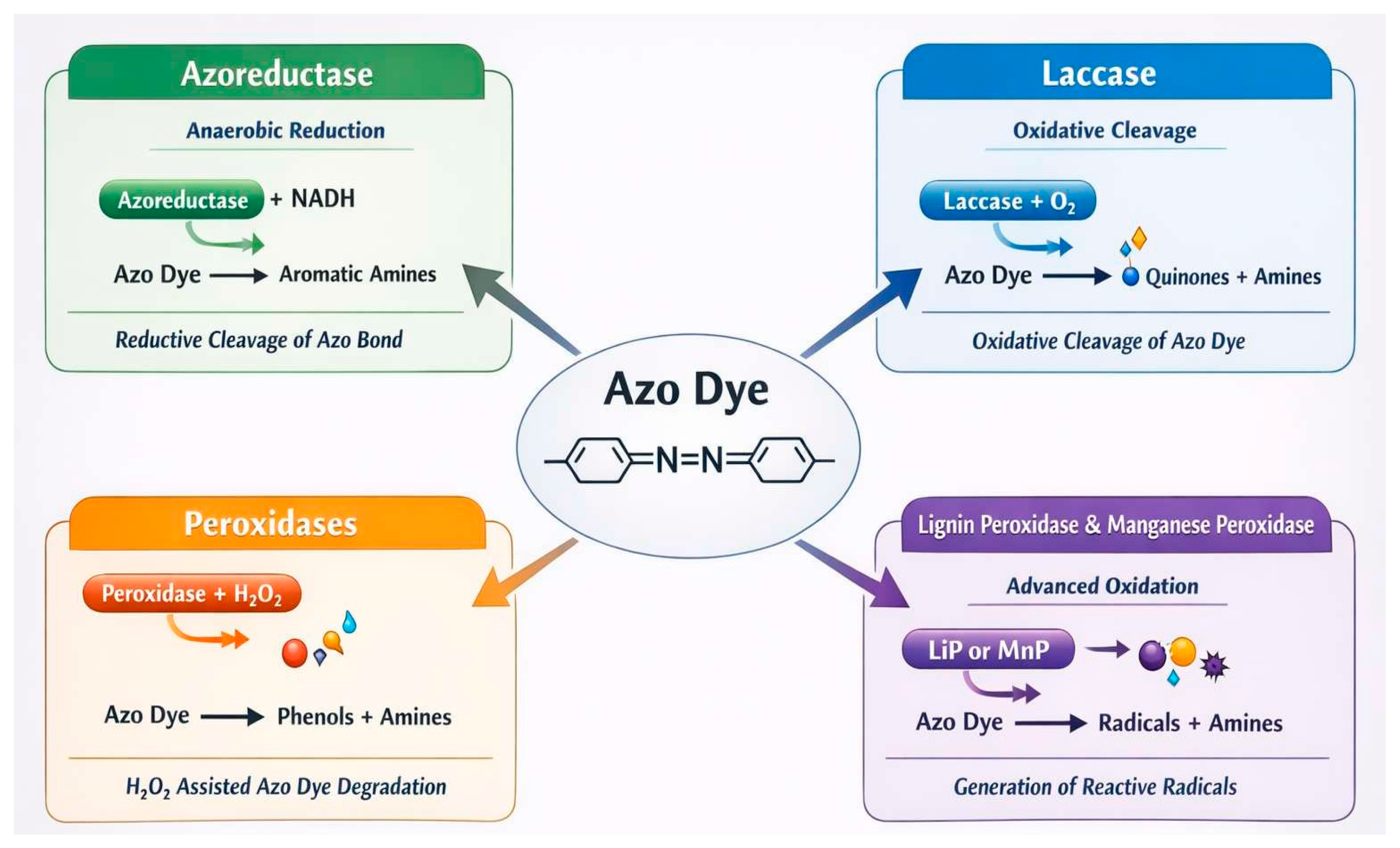 Microbial Innovations for Sustainable Wastewater Management: A ...