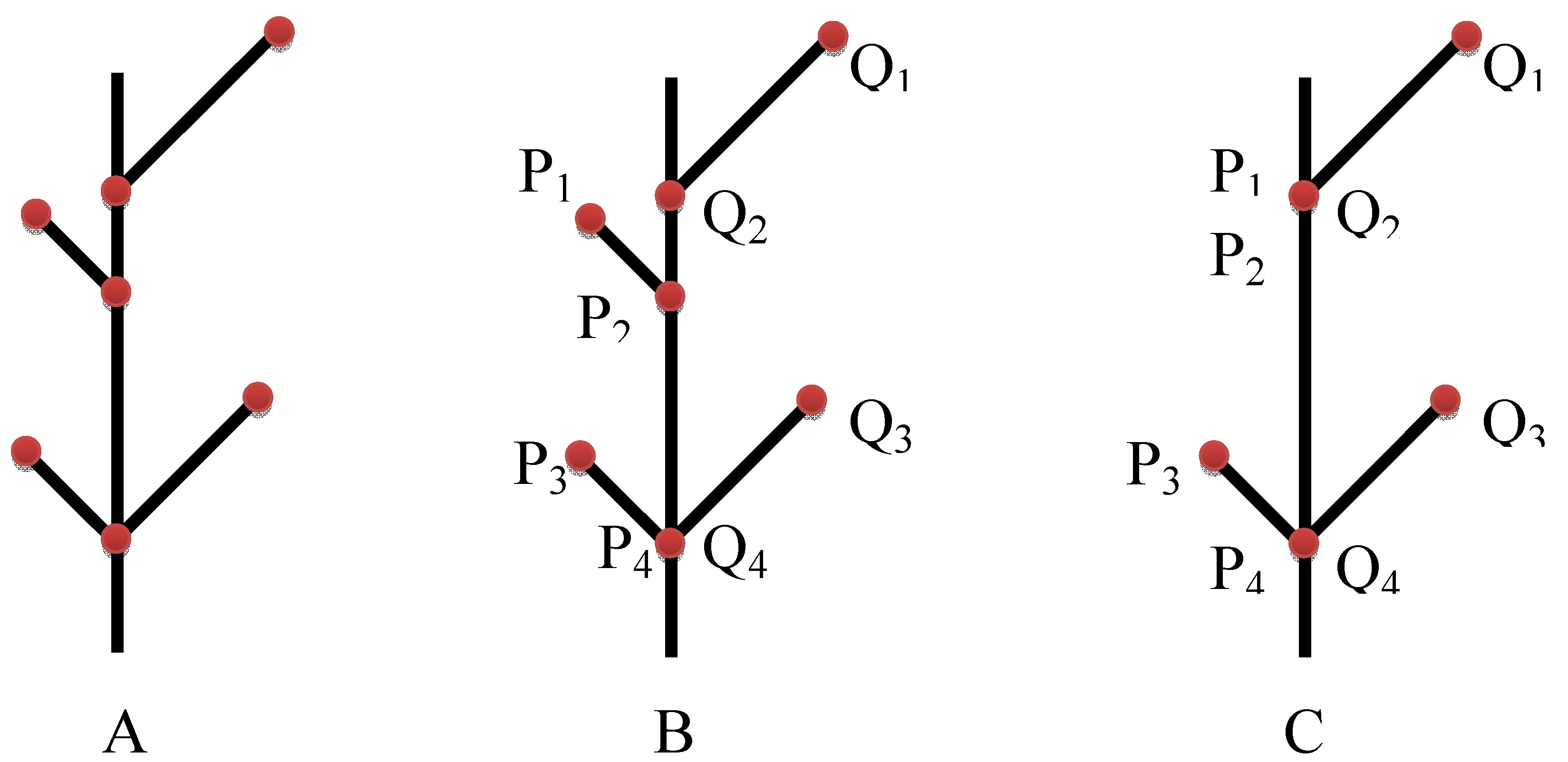 Symmetry Free Full Text Fluctuating Asymmetry Methods Theory And