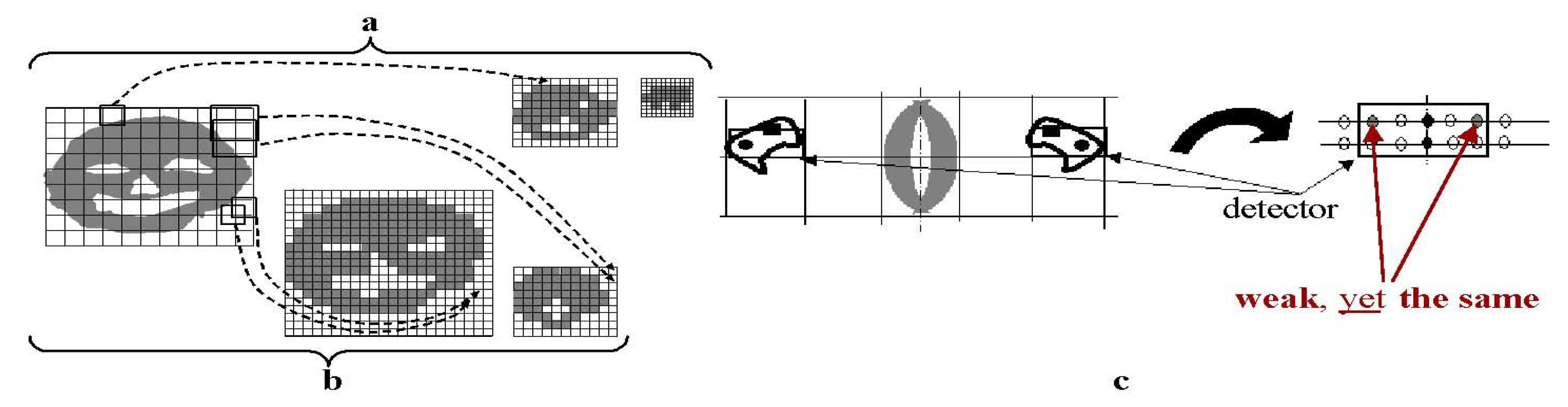 Symmetry | Free Full-Text | Symmetry as an Intrinsically Dynamic Feature
