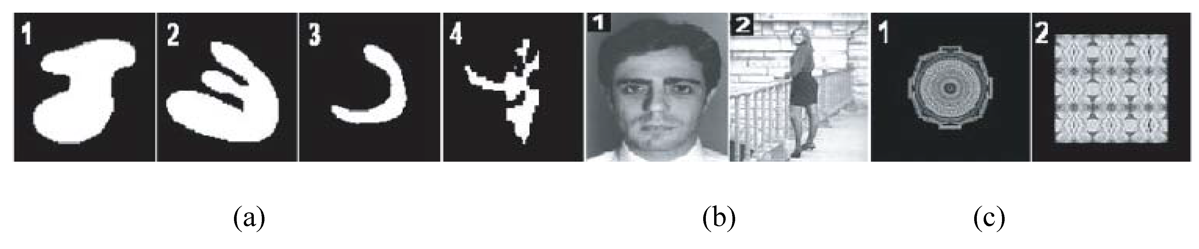 Symmetry | Free Full-Text | Symmetry as an Intrinsically Dynamic Feature