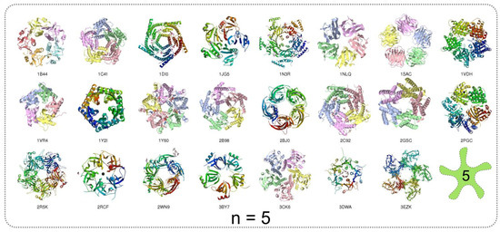 Symmetry versus Asymmetry in the Molecules of Life: Homomeric Protein ...
