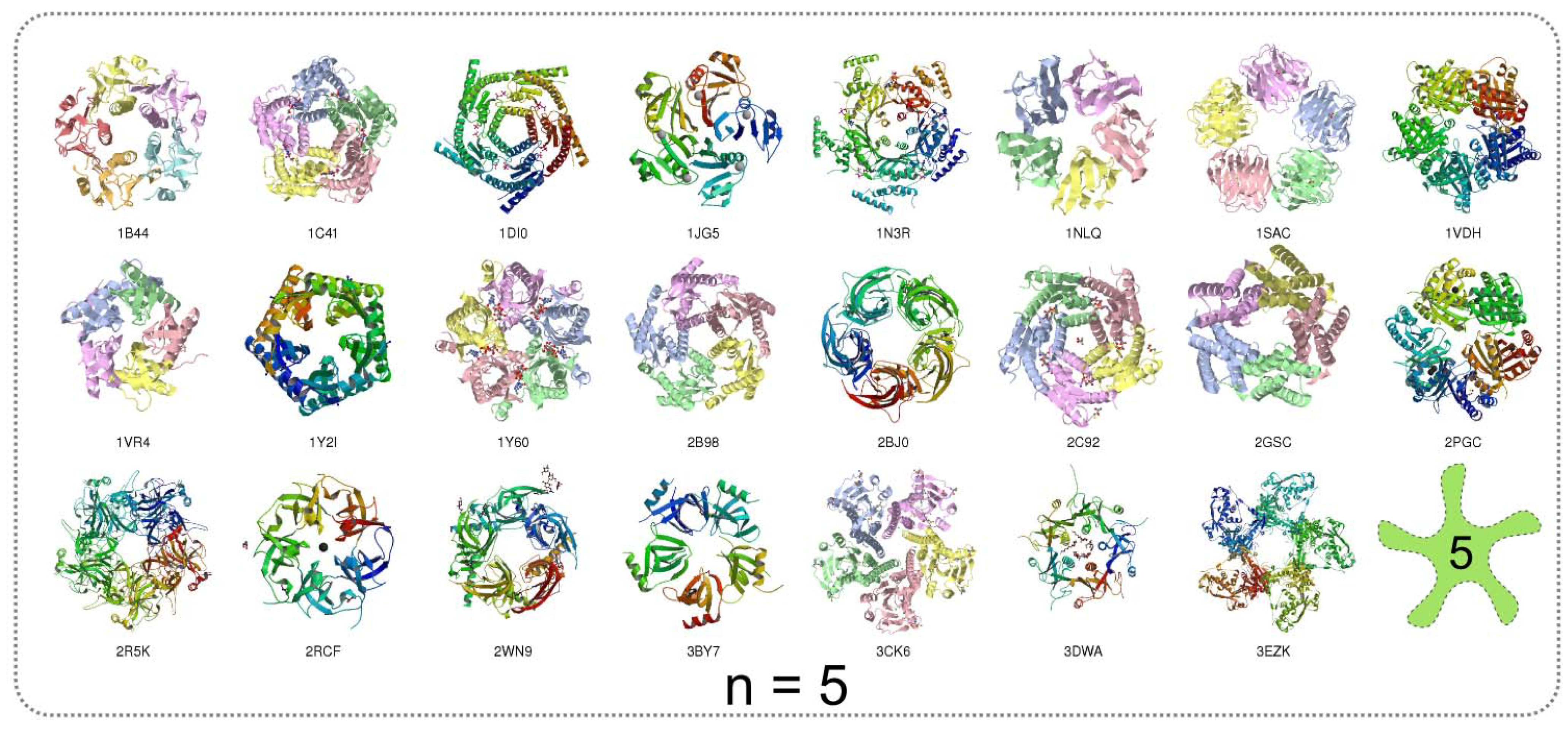 Symmetry versus Asymmetry in the Molecules of Life: Homomeric Protein ...