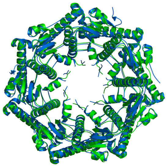 Symmetry versus Asymmetry in the Molecules of Life: Homomeric Protein ...
