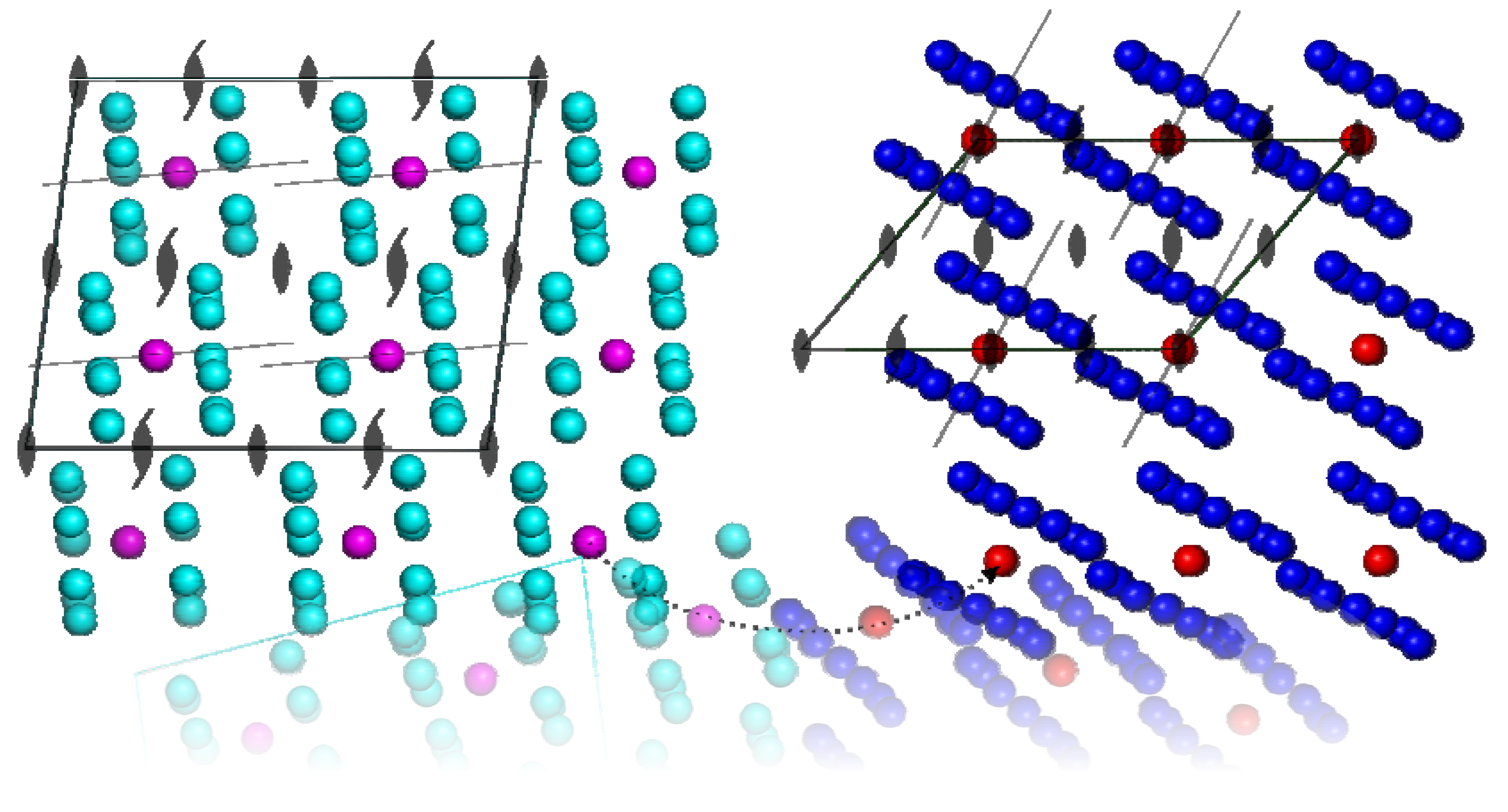 Symmetry versus Asymmetry in the Molecules of Life: Homomeric Protein ...