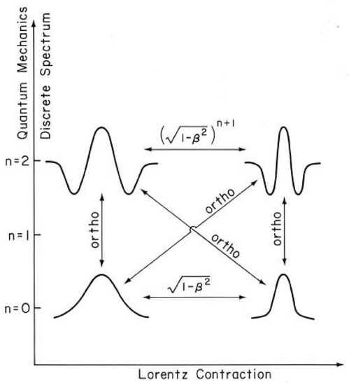 Symmetry | Special Issue : Quantum Symmetry