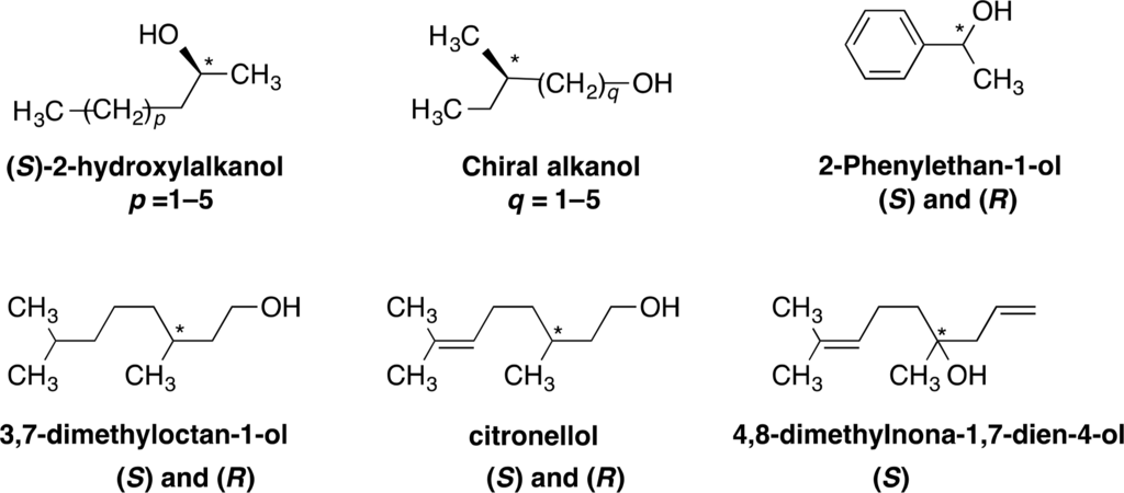 Supramolecular Chirality: Solvent Chirality Transfer in Molecular ...