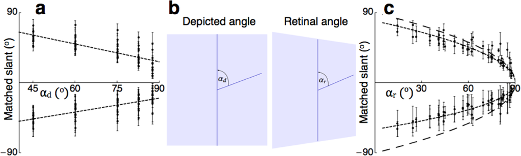Evidence for Obliqueness of Angles as a Cue to Planar Surface Slant ...
