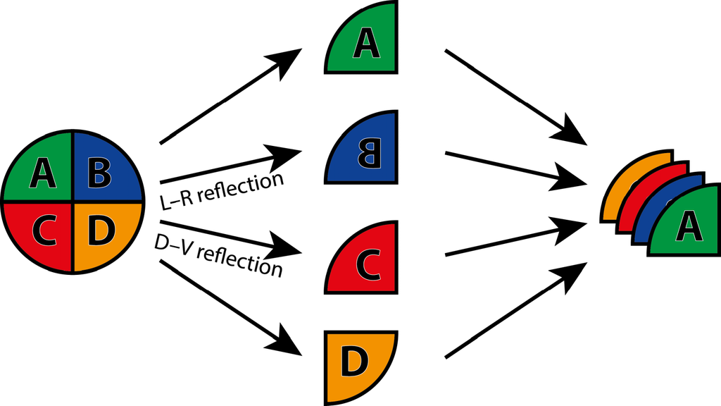 Analyzing Fluctuating Asymmetry with Geometric Morphometrics: Concepts ...