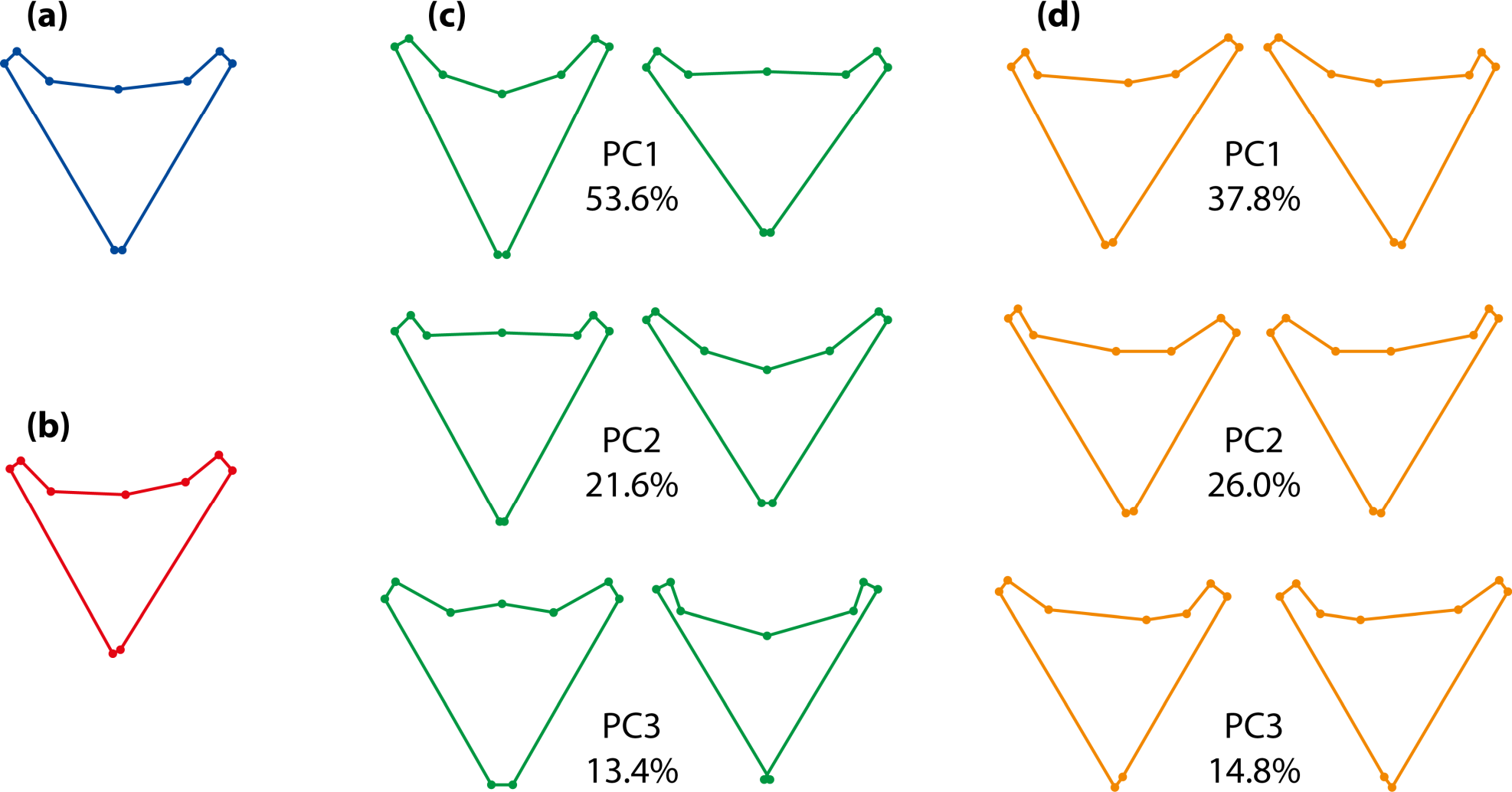 Symmetry Free Full Text Analyzing Fluctuating Asymmetry With