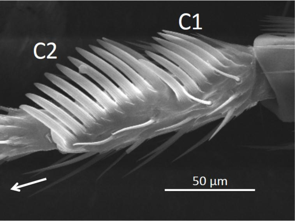 Symmetry Free Full Text Consistent Positive Co Variation Between