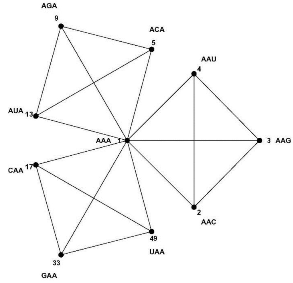 Symmetry | Special Issue : Symmetry and Asymmetry in Biology