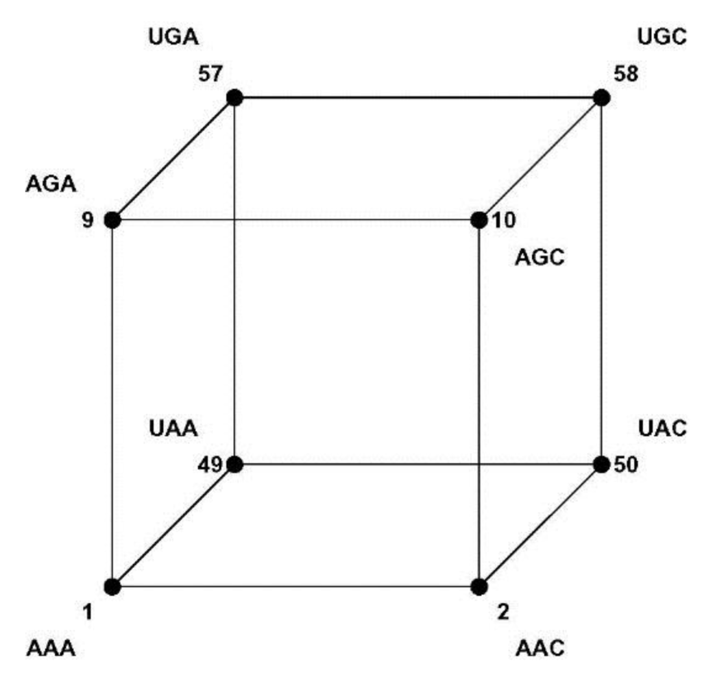 Symmetry | Special Issue : Symmetry and Asymmetry in Biology