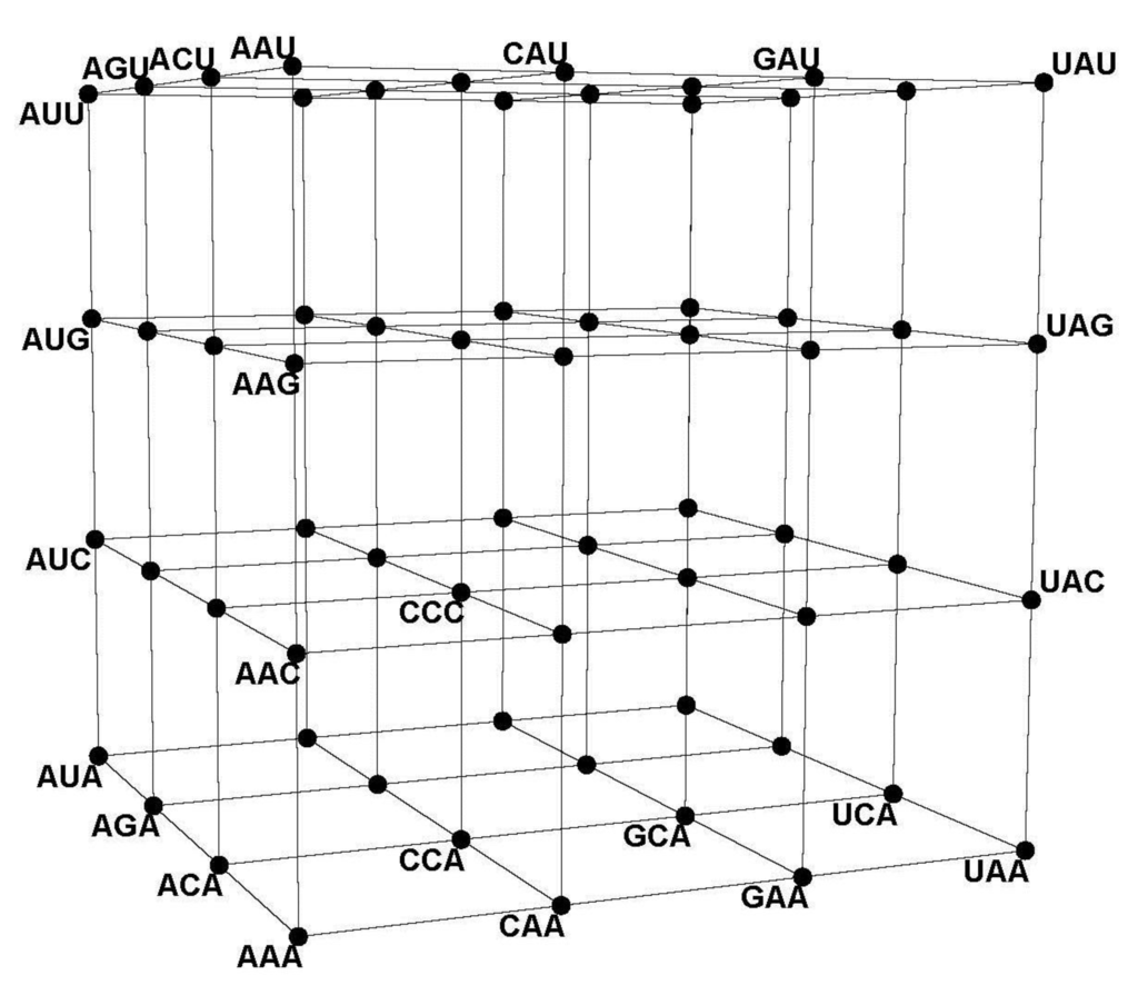 Symmetry | Special Issue : Symmetry and Asymmetry in Biology