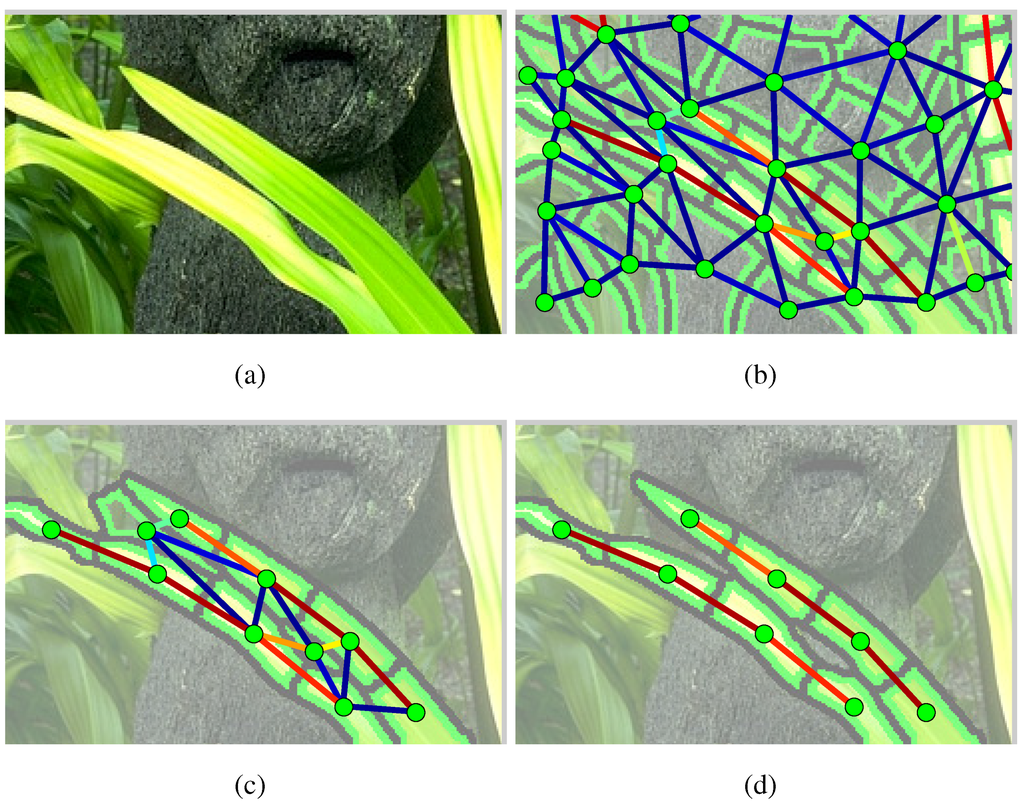 Symmetry | Special Issue : Symmetry: Theory and Applications in Vision