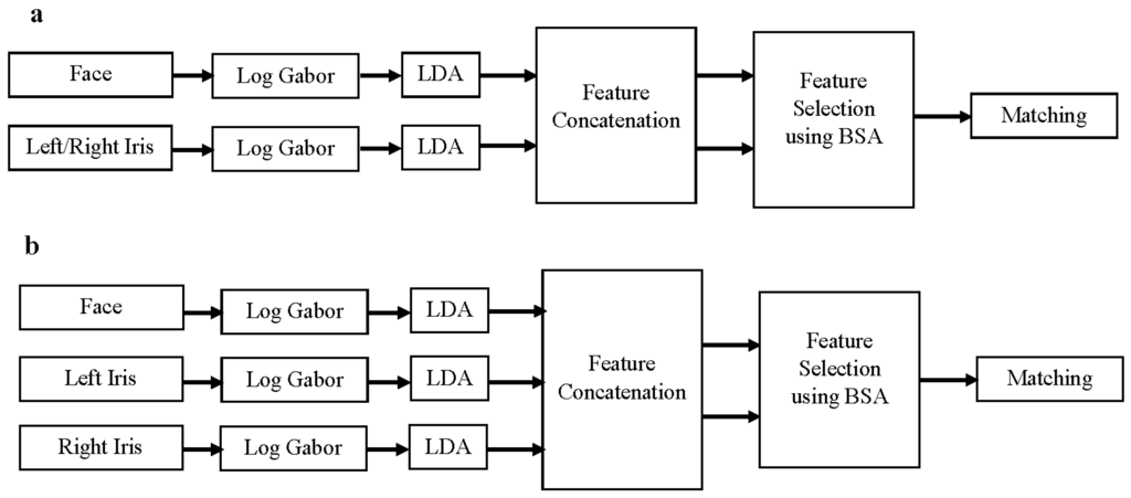 Optimal Face-Iris Multimodal Fusion Scheme