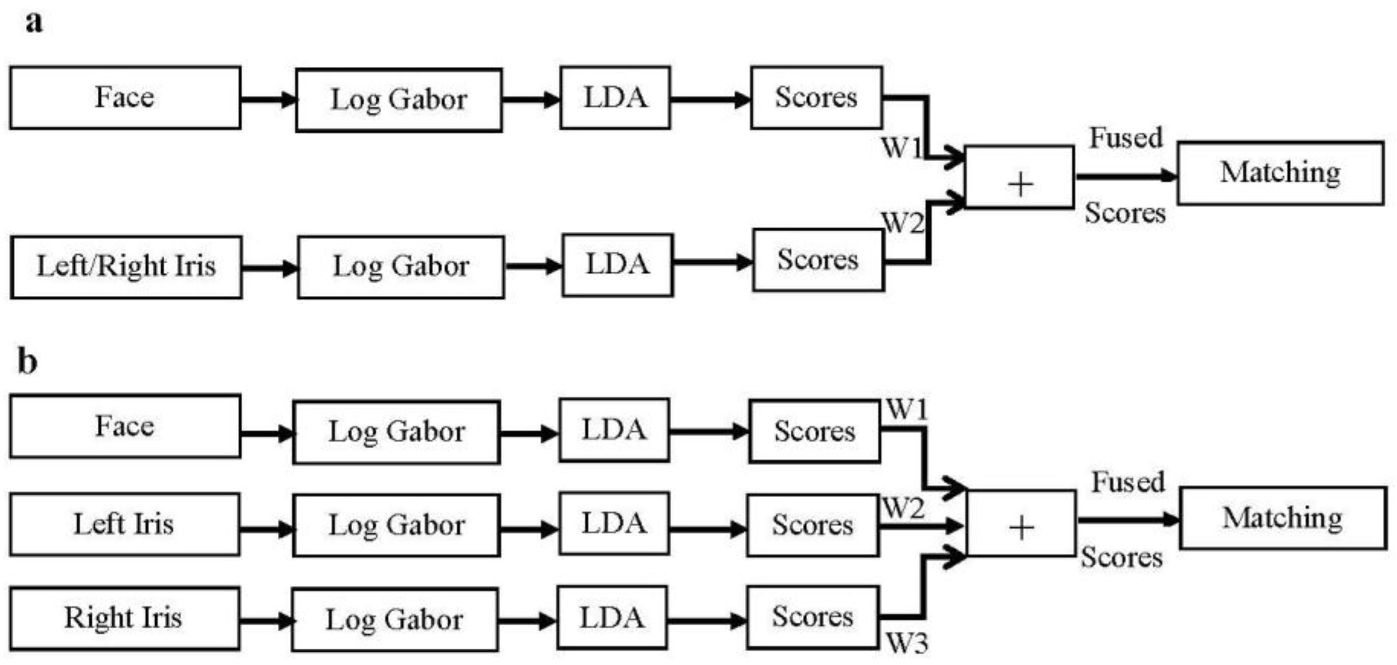 Optimal Face-Iris Multimodal Fusion Scheme