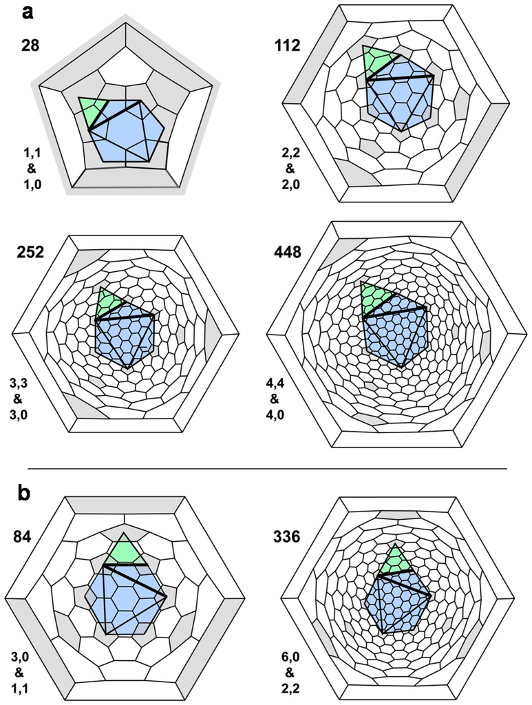 Symmetry | Special Issue : Polyhedral Structures