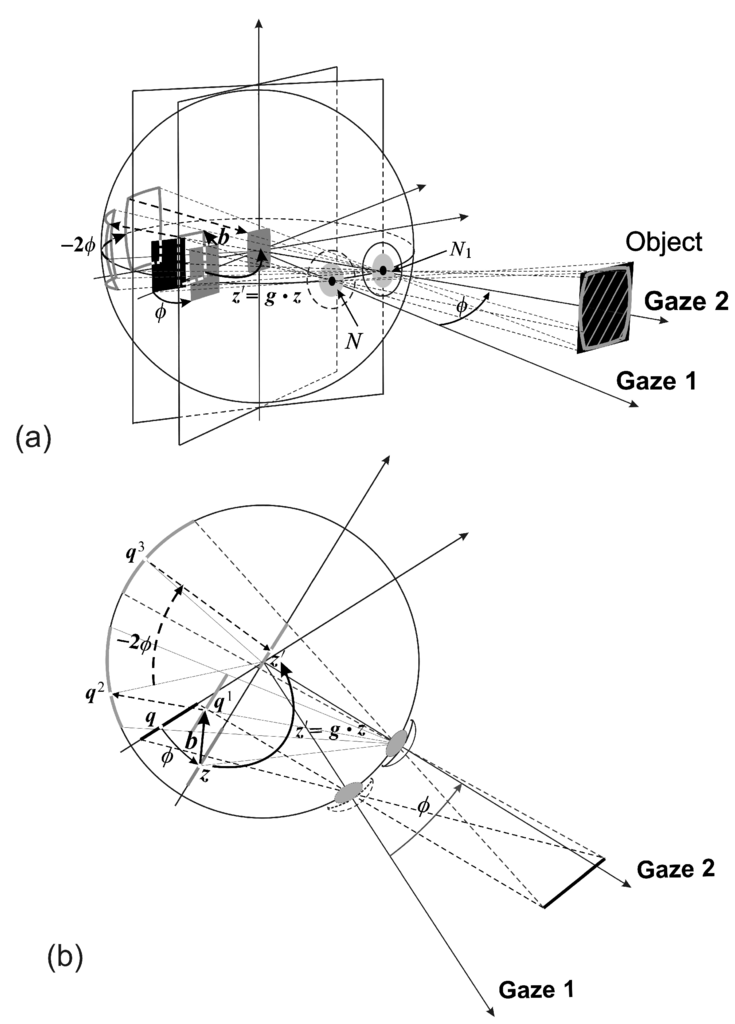 Symmetry | Special Issue : Symmetry in Vision Symmetry | Special Issue : Symmetry in Vision