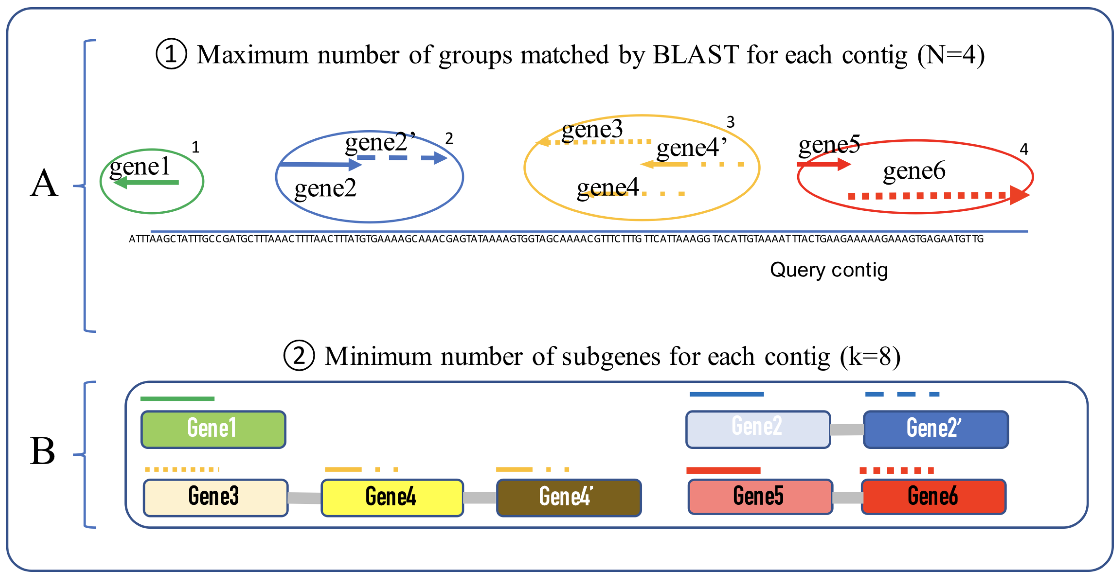 A Robust Method for Finding the Automated Best Matched Genes Based on ...