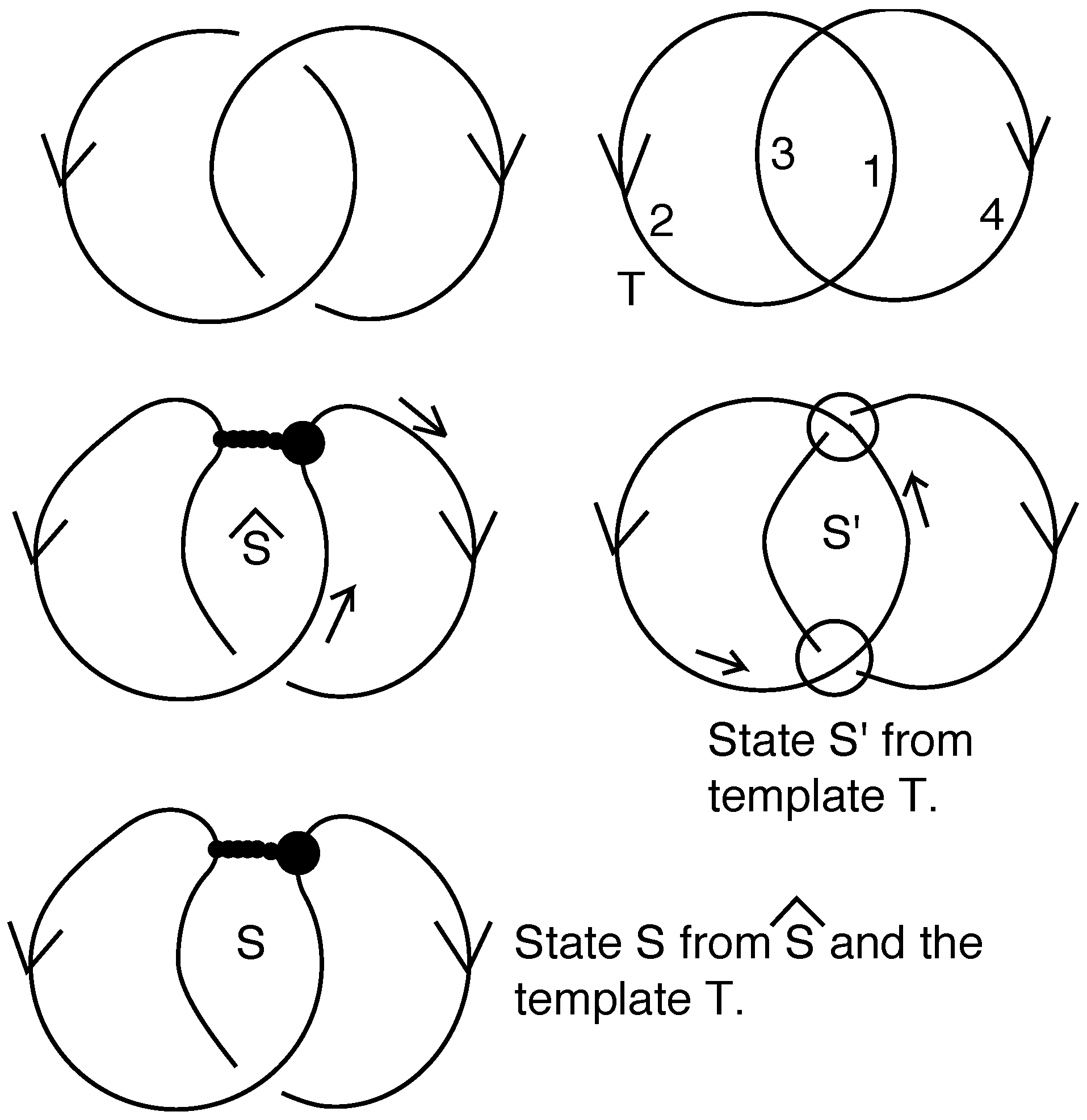 Skein Invariants of Links and Their State Sum Models