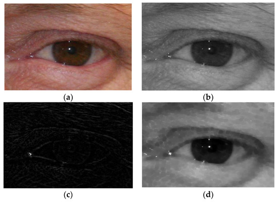 Deep Learning-Based Iris Segmentation for Iris Recognition in Visible ...