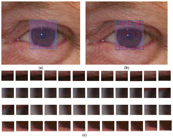 Deep Learning-Based Iris Segmentation for Iris Recognition in Visible Light Environment