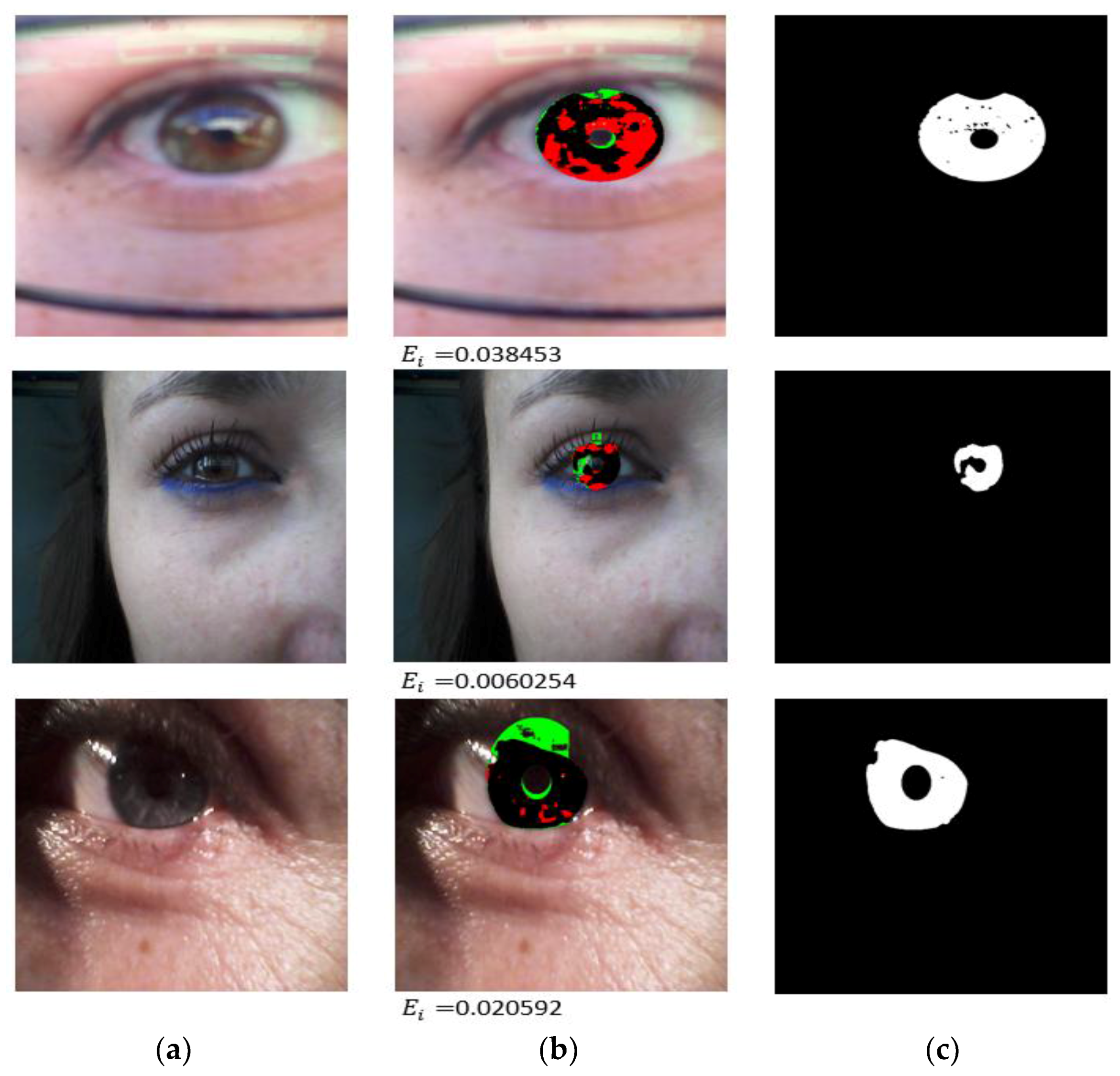Symmetry Free Full Text Deep Learning Based Iris Segmentation For Iris Recognition In