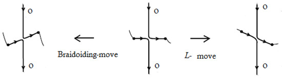 Knotoids, Braidoids and Applications