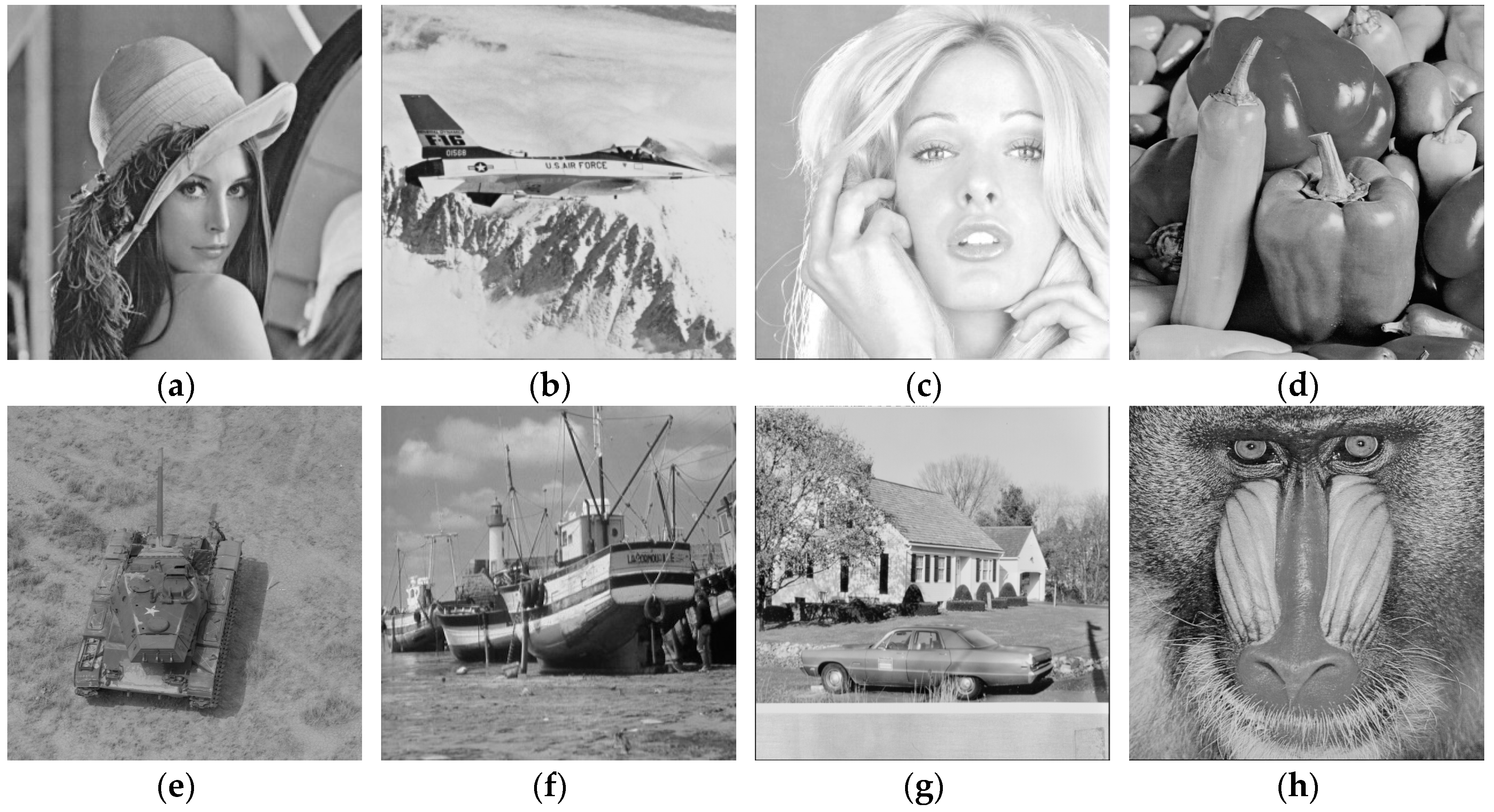 Efficient Data Hiding Based on Block Truncation Coding Using Pixel Pair Matching Technique