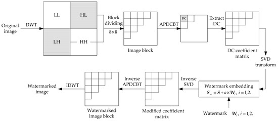A Robust Image Watermarking Technique Based on DWT, APDCBT, and SVD