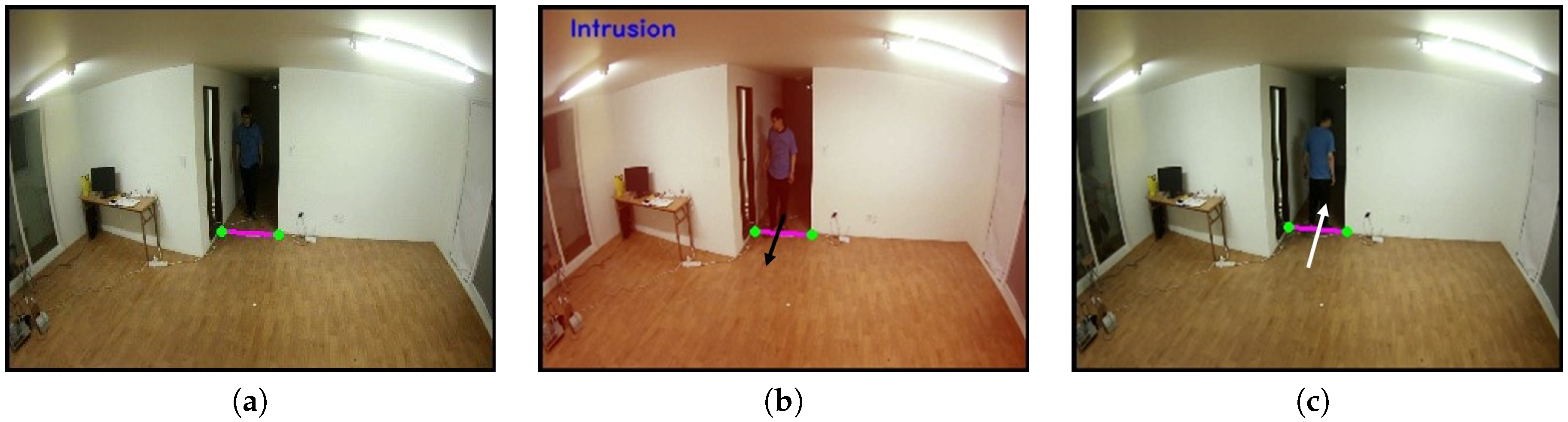 Hybrid Sensor Network-Based Indoor Surveillance System for Intrusion ...
