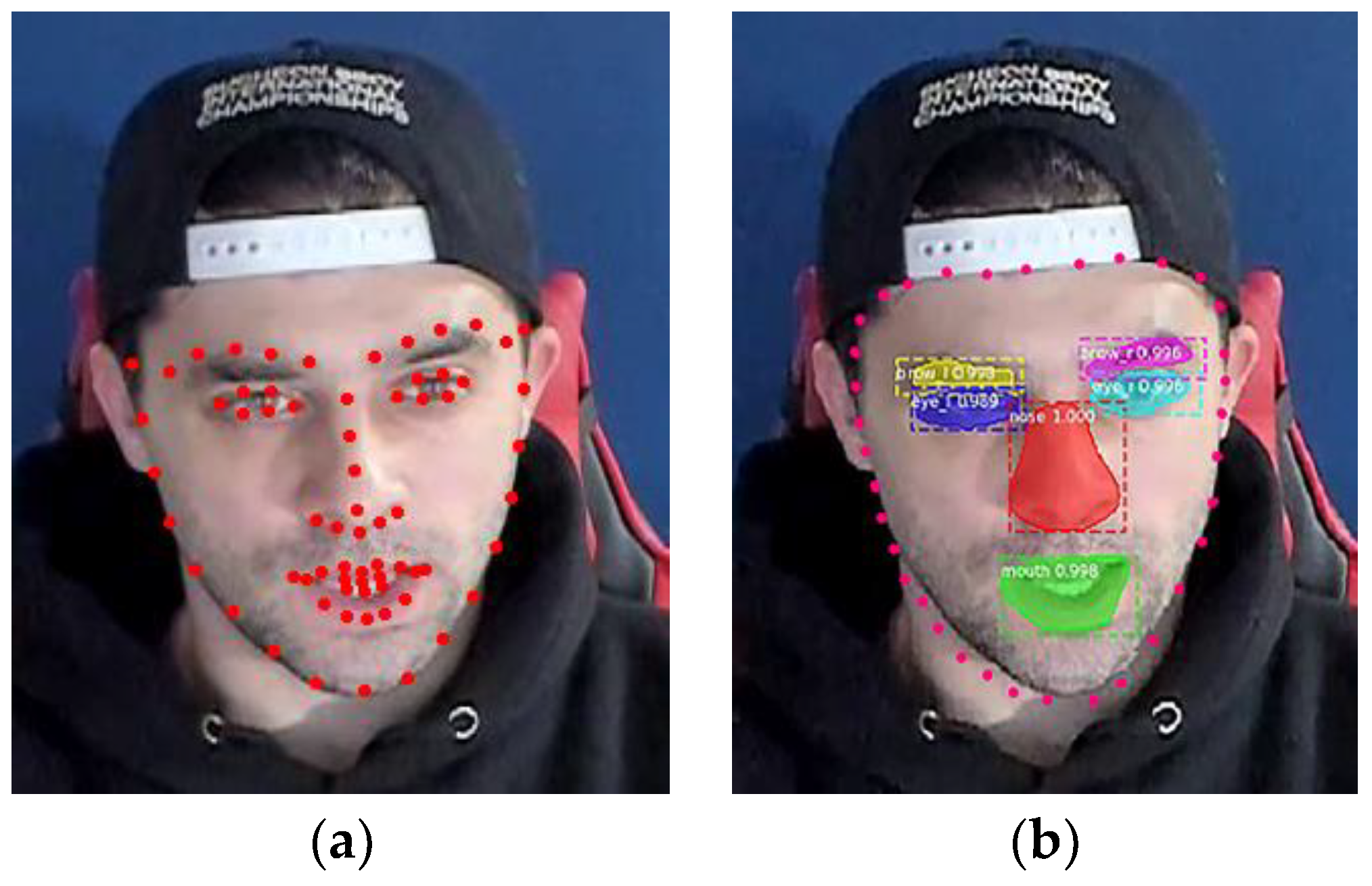 Facial Feature Model for a Portrait Video Stylization