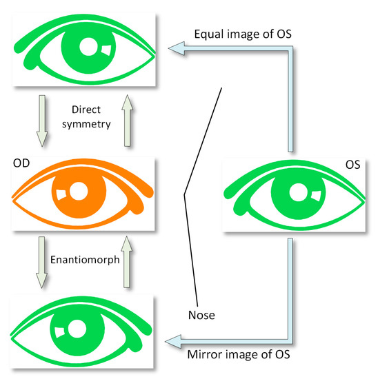 Symmetry | Special Issue : Applications Based on Symmetrical ...