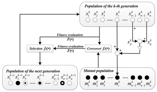 Evolutionary Hierarchical Sparse Extreme Learning Autoencoder Network ...