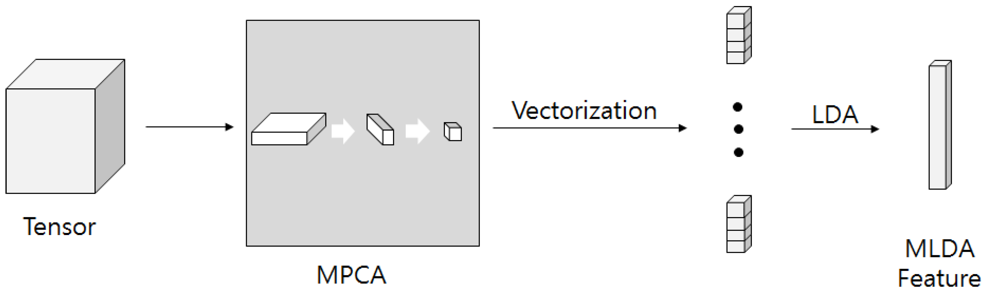 Multilinear EigenECGs and FisherECGs for Individual Identification from ...