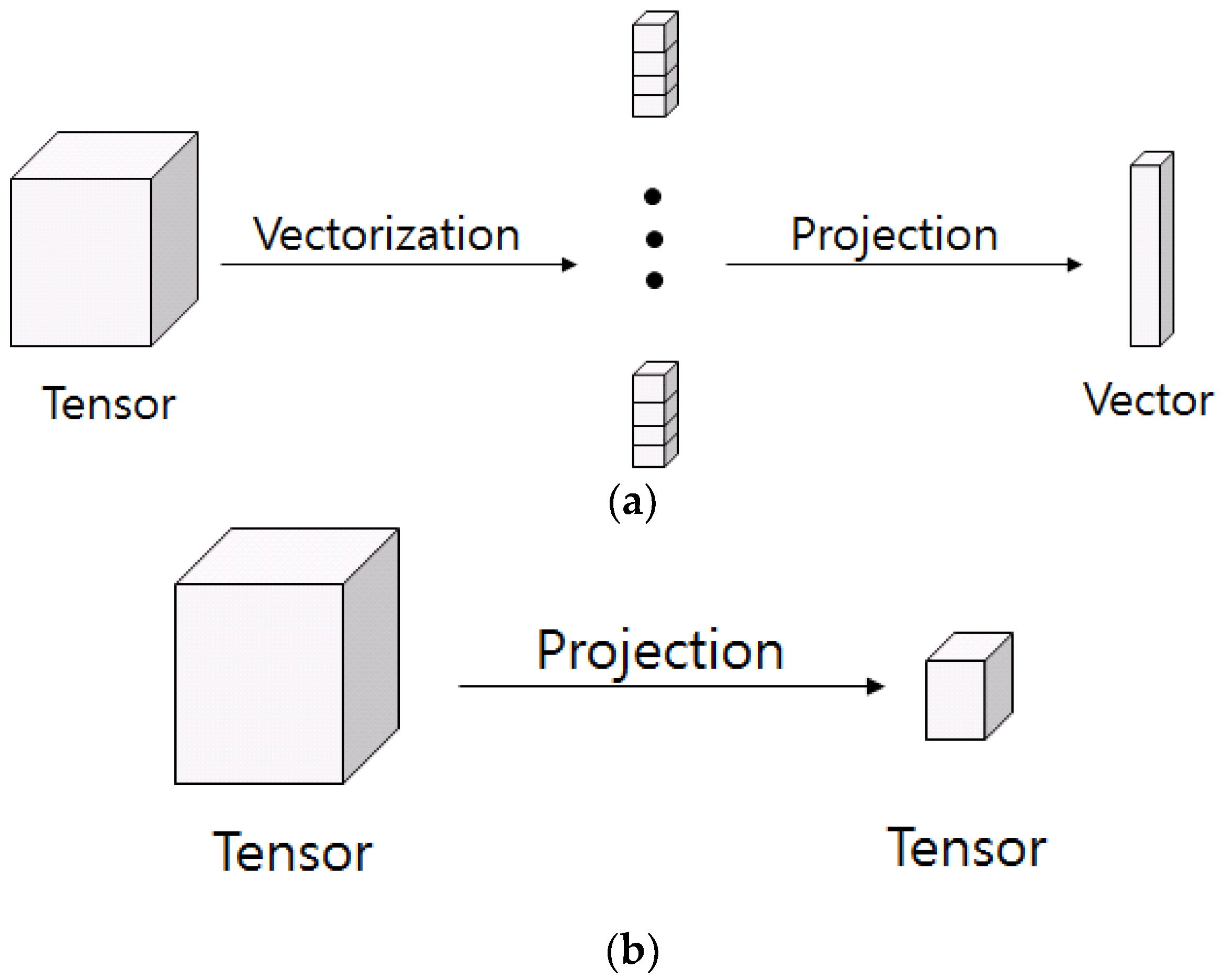Multilinear EigenECGs and FisherECGs for Individual Identification from Information Obtained by ...