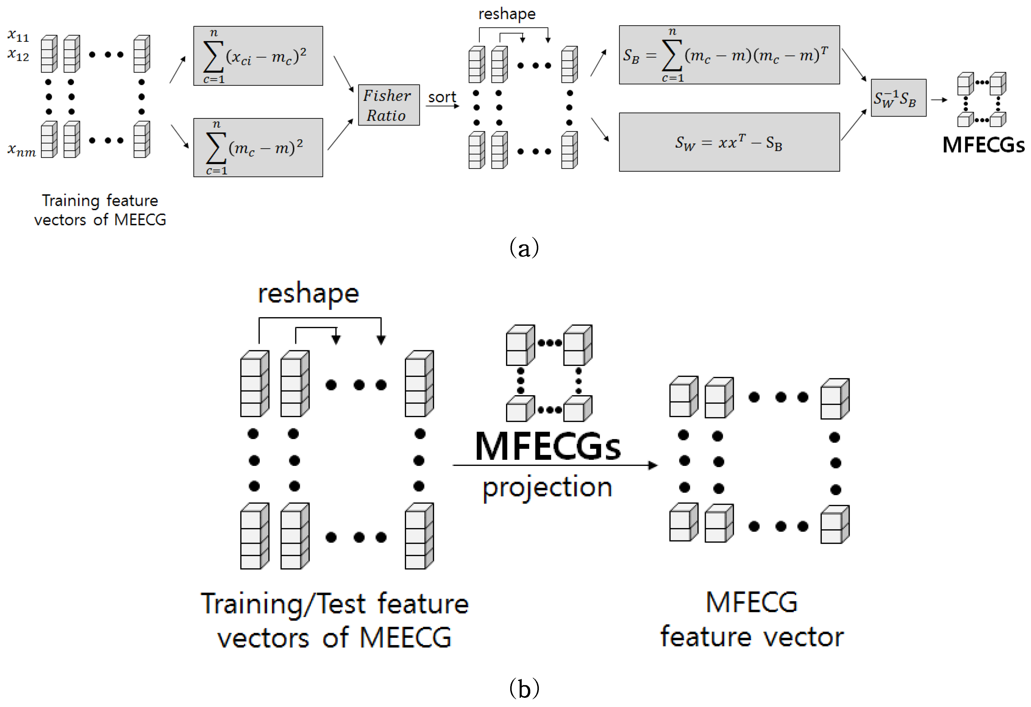 Multilinear EigenECGs and FisherECGs for Individual Identification from ...